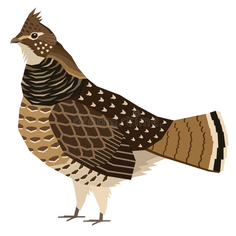 Grouse Stock Illustrations – 2,109 Grouse Stock Illustrations, Vectors ...