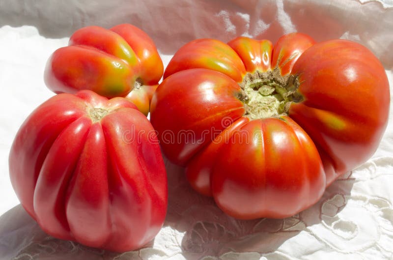 Ruffled heirloom tomatoes stock photo. Image of juicy - 84826626