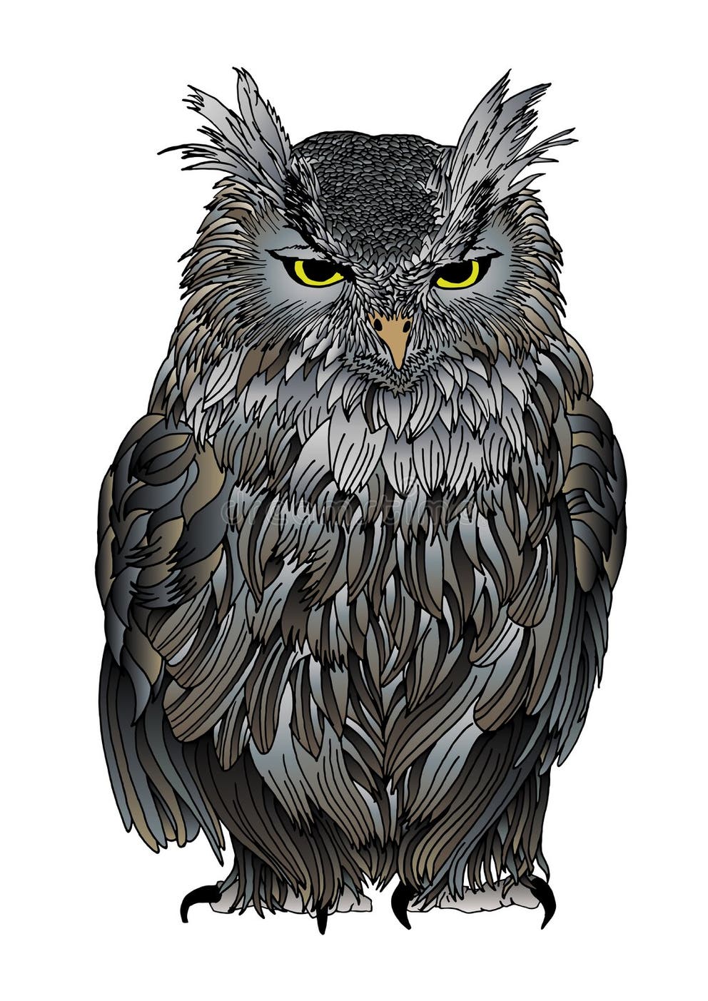 Ruffled Owl Stock Illustrations – 13 Ruffled Owl Stock Illustrations ...