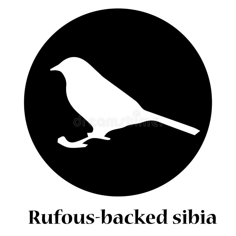 Sibia Shadow Stock Illustrations – 1 Sibia Shadow Stock Illustrations ...