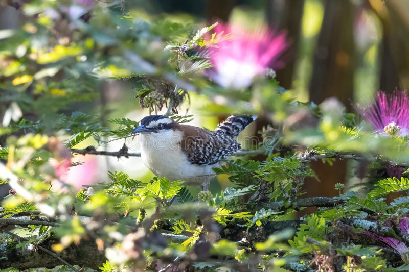 Backed Wrent Stock Photos - Free & Royalty-Free Stock Photos from ...