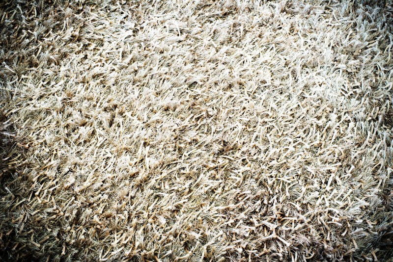 Straw Rug Texture Shape Stock Photos - Free & Royalty-Free Stock Photos ...