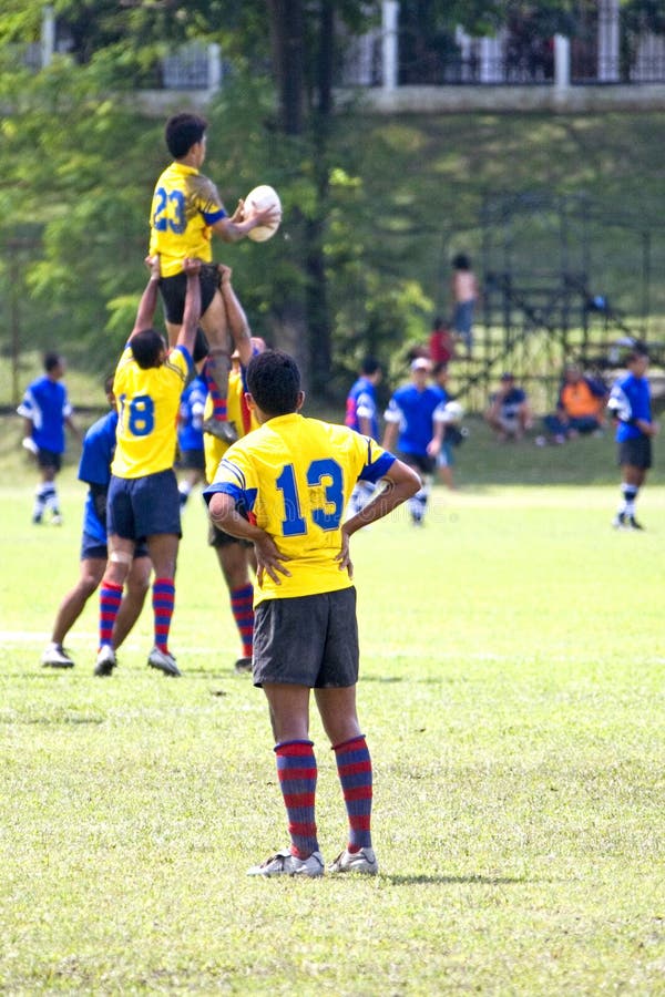 Rugby ball toss editorial stock image. Image of grass - 31787464