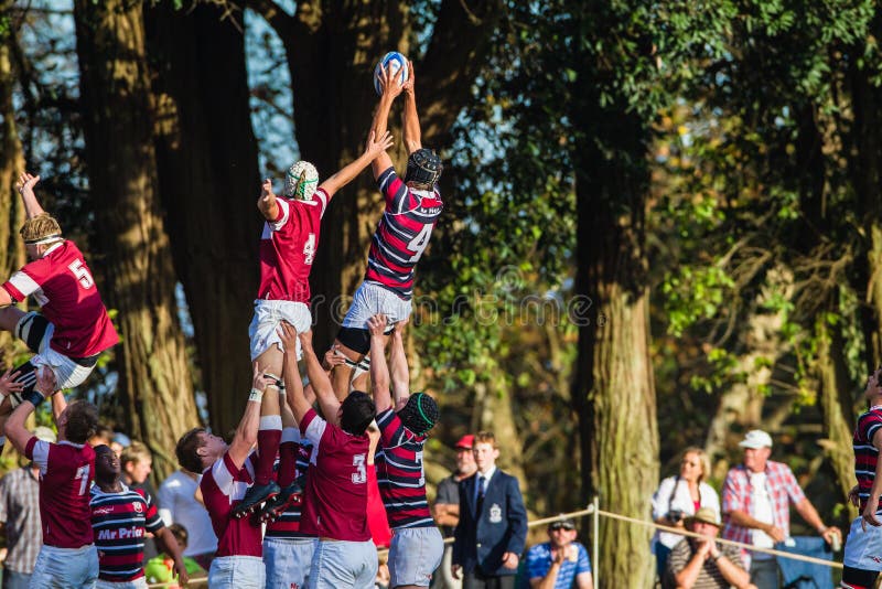 Ball Line-Out Rugby Framesby Kearsney Editorial Photography - Image of ...