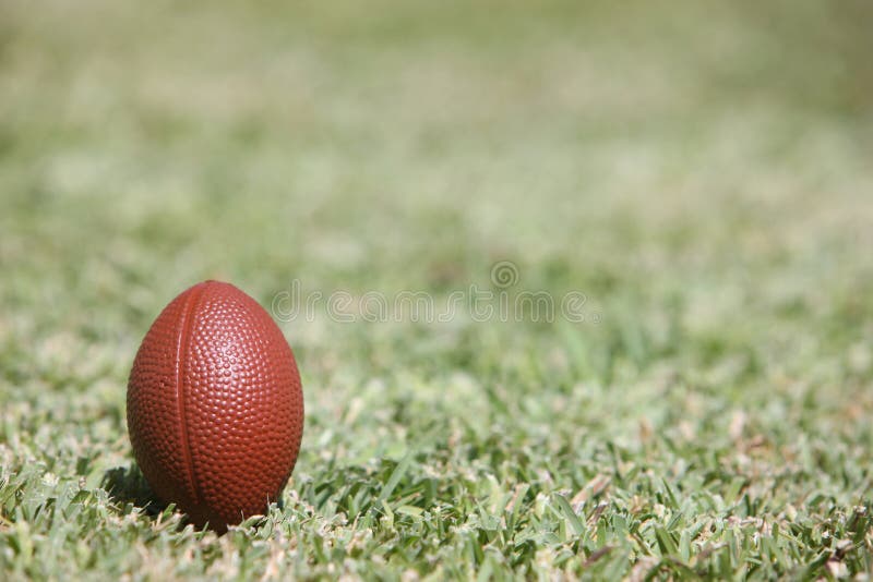 Rugby ball stock image. Image of play, game, football - 15208349