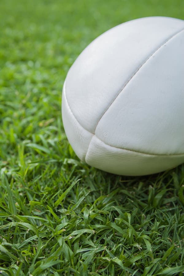 Rugby Ball stock photo. Image of outside, holding, ball - 67694590