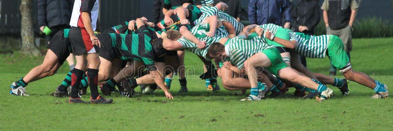 Rugby - el melé imagen editorial. Imagen de teamwork - 42232575