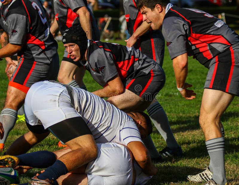 Rugby in the Fall editorial stock image. Image of catc - 80965379