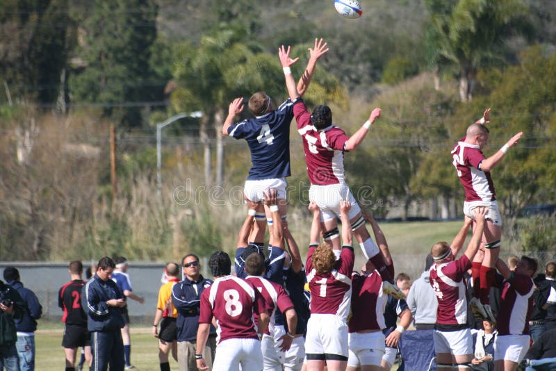 Rugby Lineout editorial stock image. Image of lift, national - 8207939