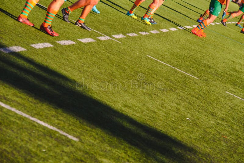 Rugby Players during a Match Stock Photo - Image of pitch, game: 168811724