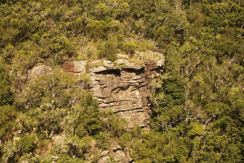 RUGGED CLIFF VISIBLE on VEGETATION COVERED CANYON SIDE Stock Photo ...
