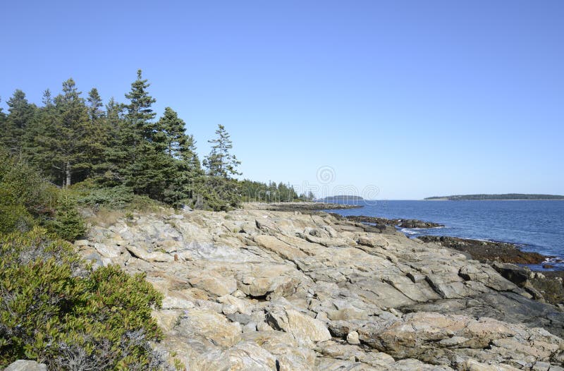 Rugged coast of Maine stock image. Image of evergreen - 46611479