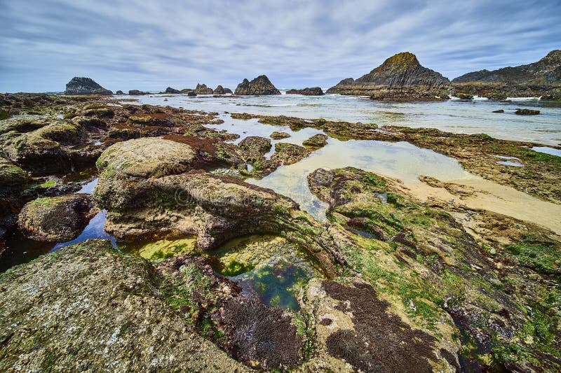 Rugged Coastal Tidepools and Rock Formations Low Angle View Stock Photo ...