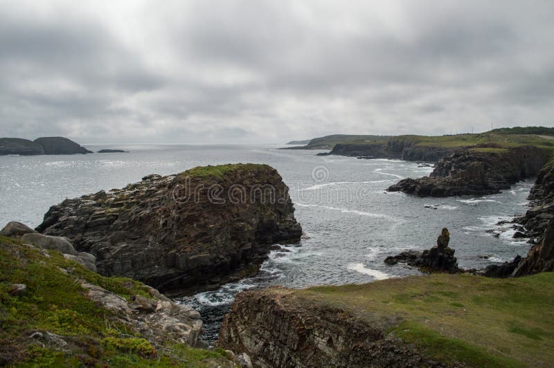 Rugged Coastline at Elliston Puffin Site in Newfoundland Stock Image ...