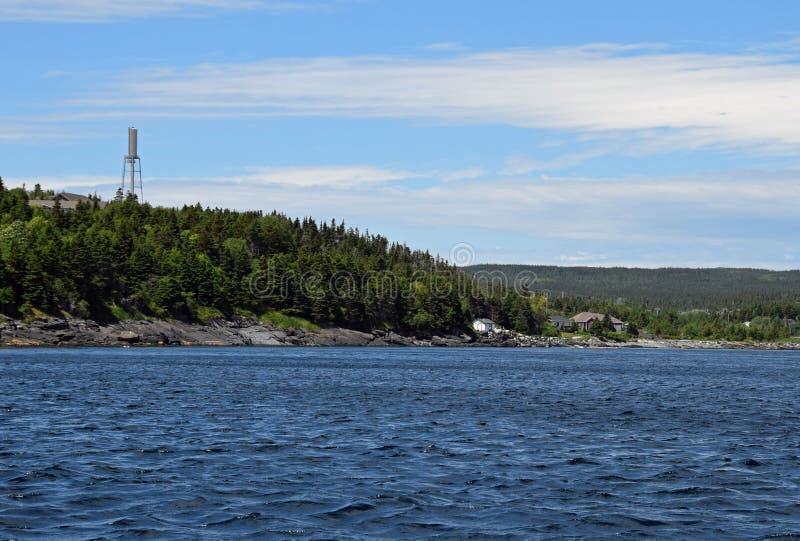 Rugged Coastline Lined with a Forest Stock Photo - Image of shore ...