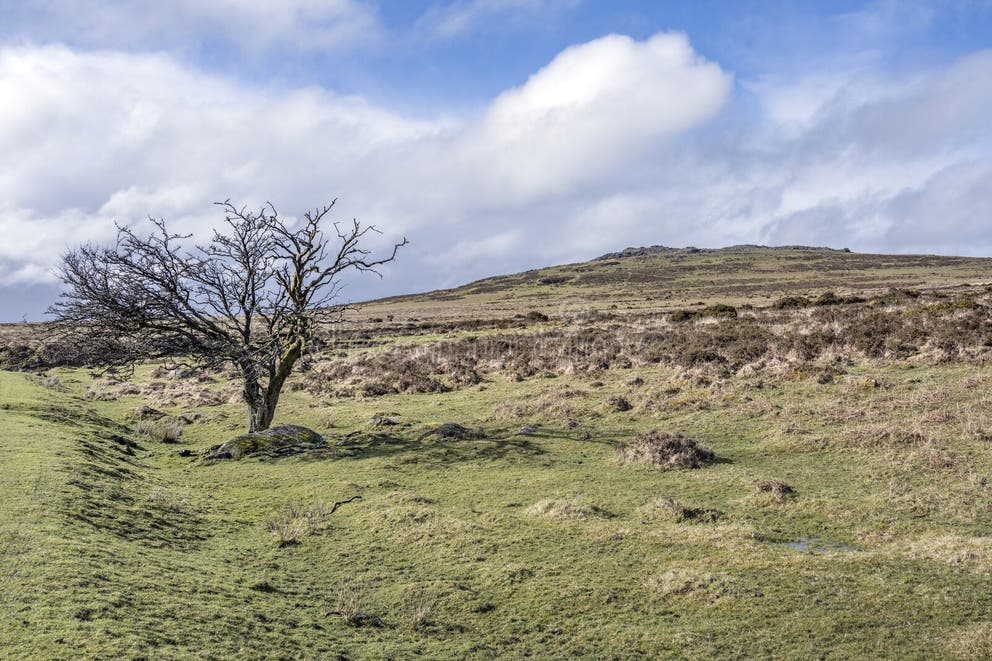 Rugged Devon Landscape stock photo. Image of mossy, stone - 312647338