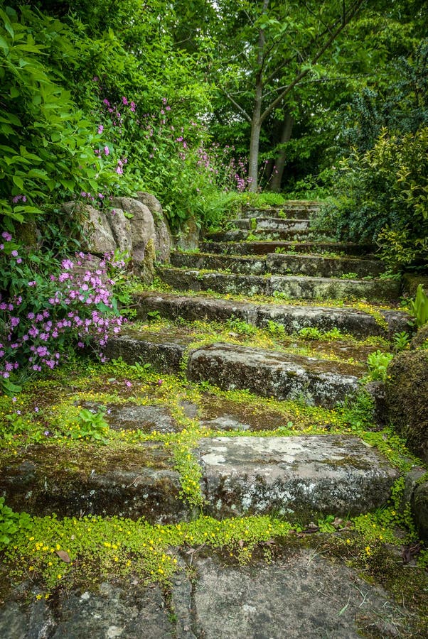 Garden path stock image. Image of tranquil, tree, garden - 14189263
