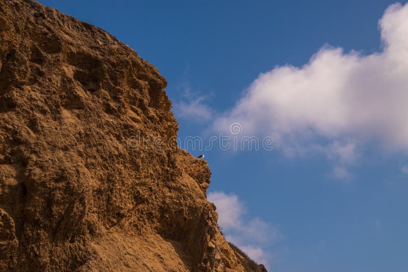 Rugged Jagged Brown Cliff Edge with a Seagull on a Ledge. Deep Blue Sky ...
