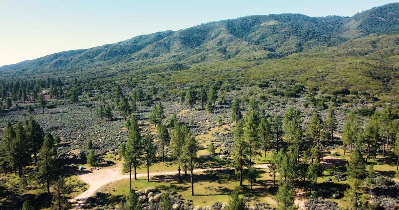 Rugged Landscape of the Mountain Range Covered by Pine Trees and Lush ...