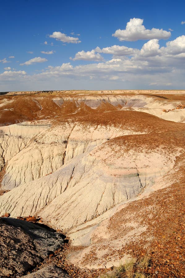 Rugged Landscape Petrified Forest Arizona Stock Photo - Image of ...