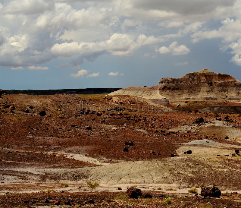 Rugged Landscape Petrified Forest Arizona Stock Photo - Image of ...