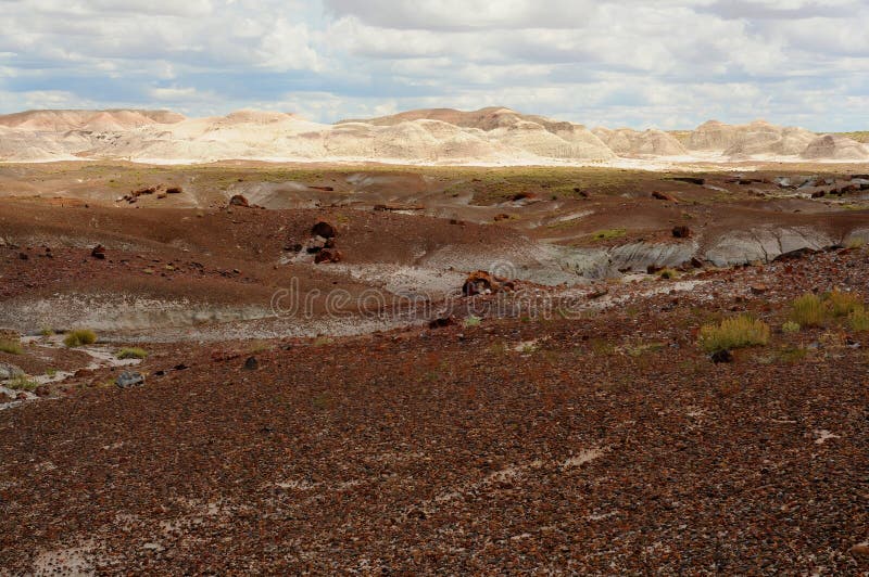 Rugged Landscape Petrified Forest Arizona Stock Image - Image of lake ...