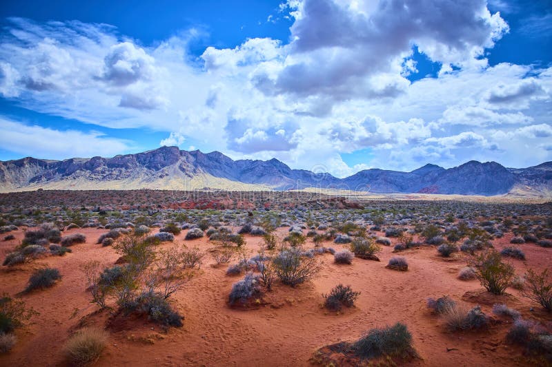 Rugged Nevada Desert with Red Sands and Mountains Eye Level Perspective ...
