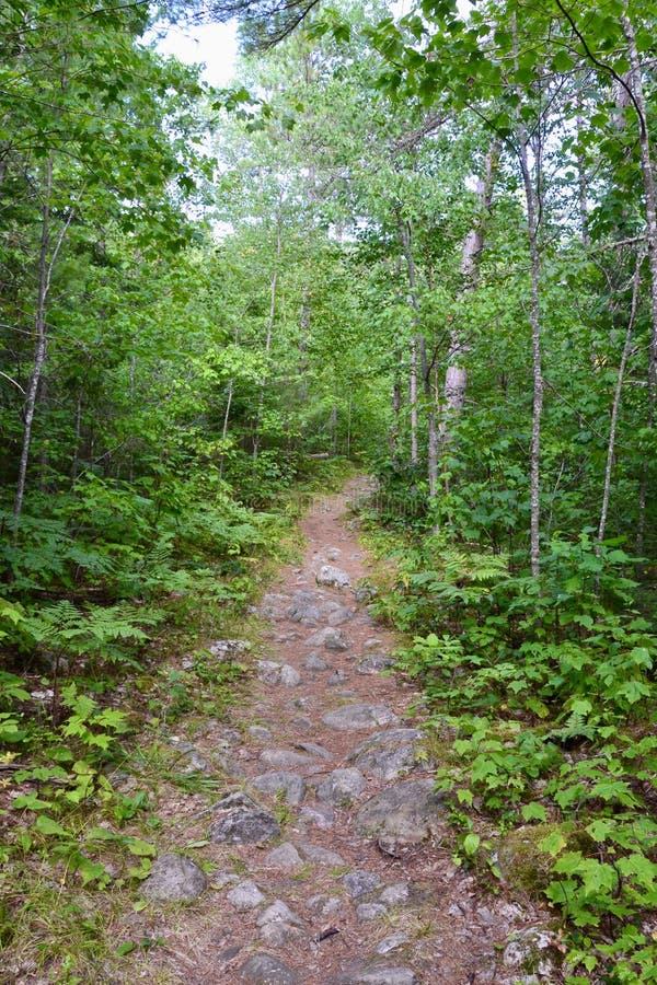 Rugged Path Along Red Pine Loop Trail at Samuel De Champlain Stock ...