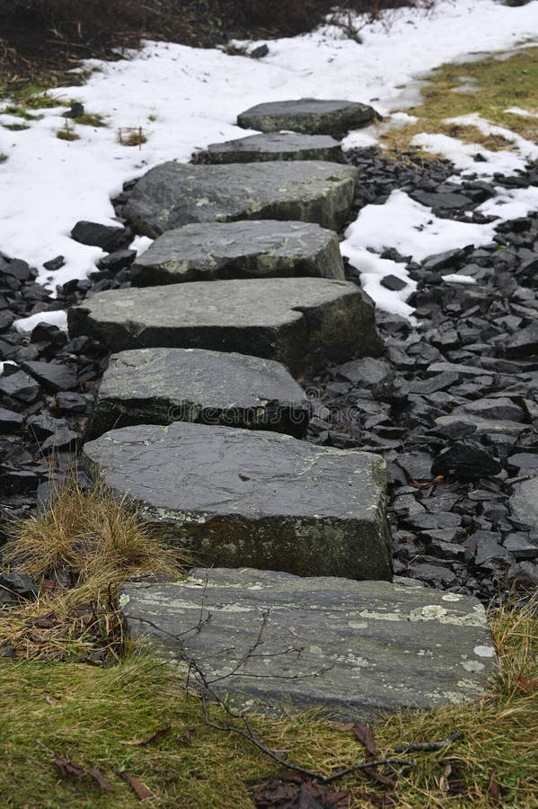 Mossy Natural Stone Steps Rustic Pathway Design Stock Photos - Free ...