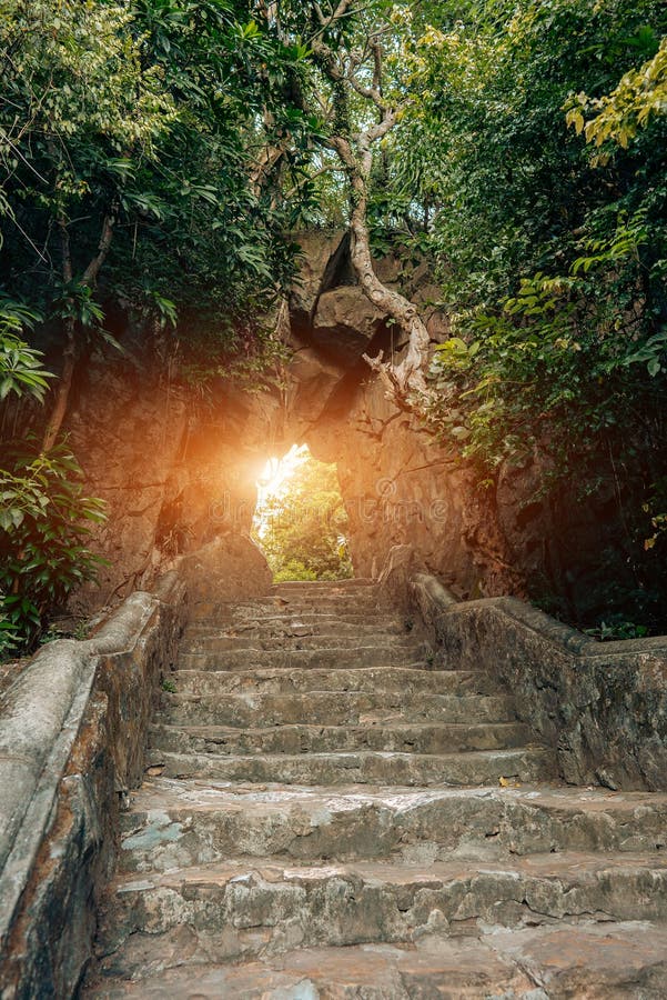 Rugged Stone Stairs Surrounded by Lush Greenery in a Natural Setting ...