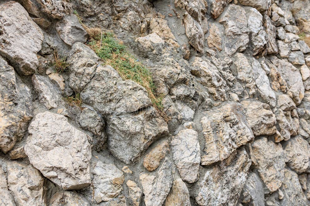 Rugged Stone Wall with Grass Growing in Crevices Stock Photo - Image of ...