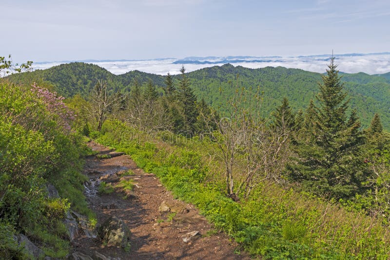 Rugged Trail in the High Mountains Stock Photo - Image of mountains ...