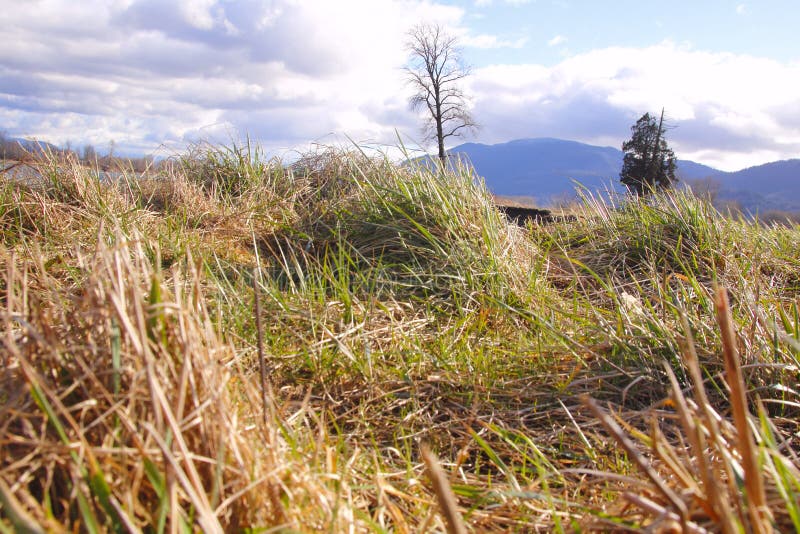 Rugged Wilderness stock photo. Image of rugged, terrain - 38092020