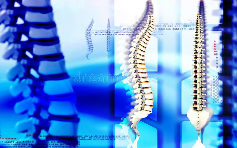 Ruggegraat stock afbeelding. Image of technologie, drie - 48689153
