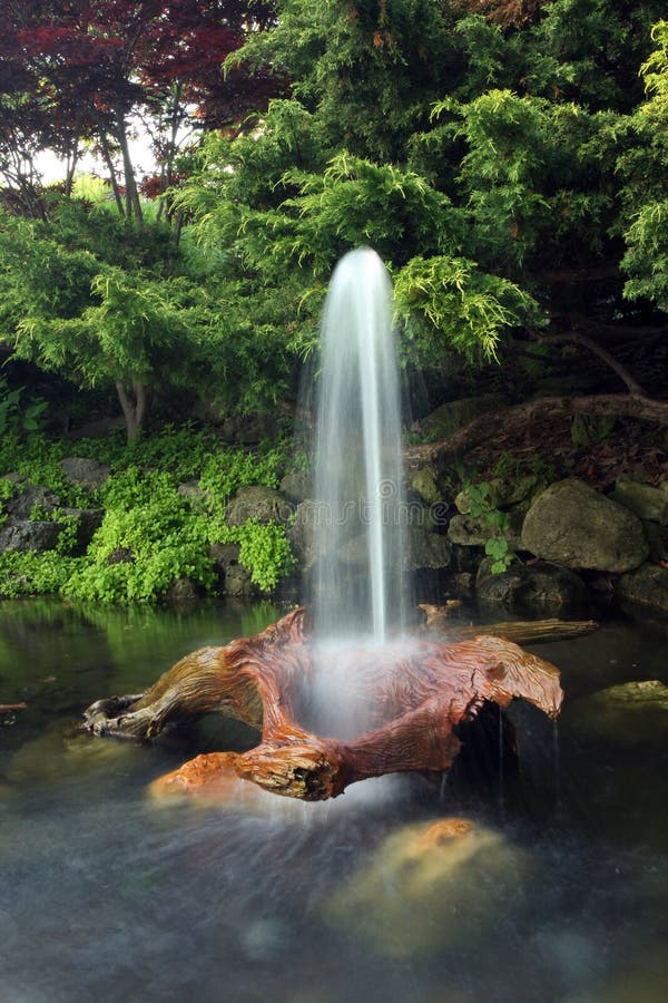 Ruhiger Platz stockbild. Bild von ruhig, bäume, teich - 5879097