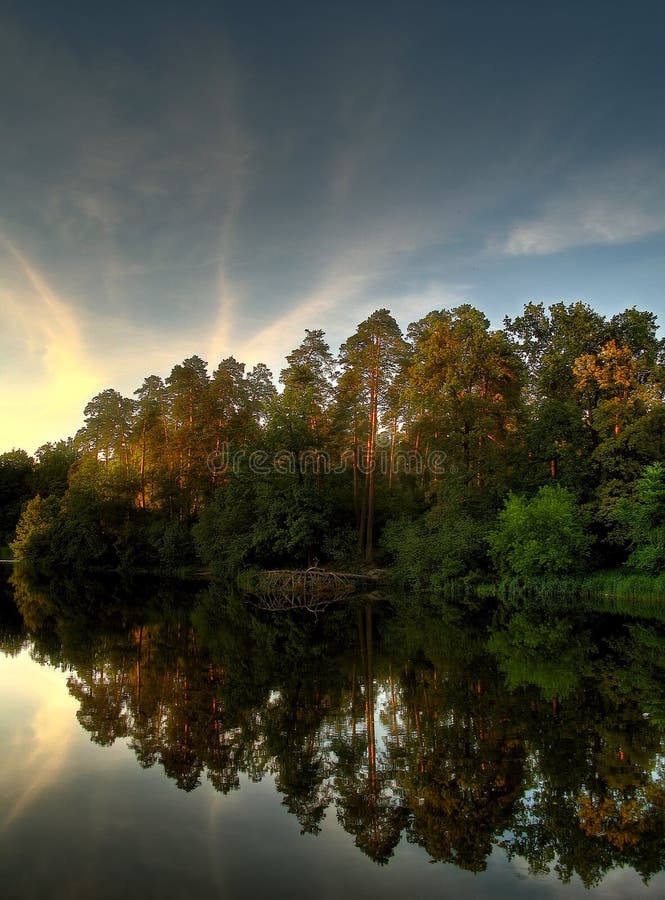 Ruhiger sumpfiger Flussarm stockbild. Bild von bayou - 21154787