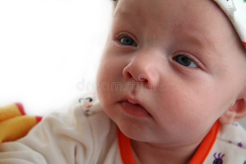 Ruhiges Baby, Das An Schaut Bild. Bild: 1518446