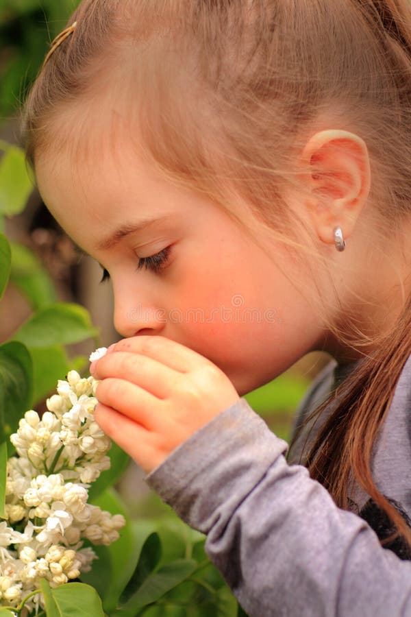 Het Ophouden Om De Bloemen Te Ruiken Stock Foto - Image of haring, roze ...