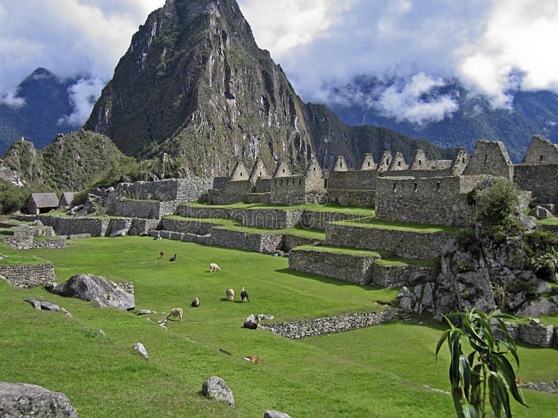 Ruinas de Machu Picchu imagen de archivo. Imagen de america - 21168481