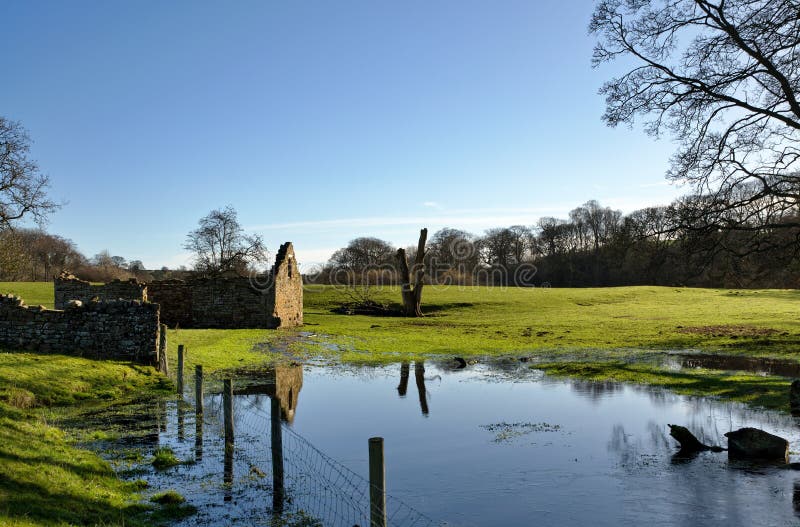 Ruined Barn in a Flooded Field Stock Photo - Image of meadow, bright ...