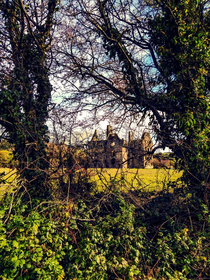 Ruined Castle through the Trees Ireland Stock Photo - Image of yellow ...