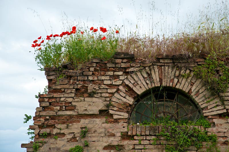 Ruined Window in Venice, Italy Stock Photo - Image of boats, buildings ...
