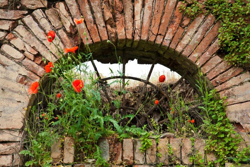 Ruined Window in Venice, Italy Stock Photo - Image of boats, buildings ...