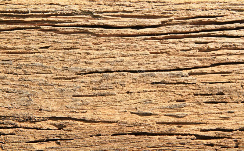 Ruined wooden texture stock photo. Image of decorative - 52058670