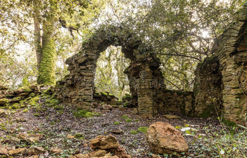 Ruinen Einer Alten Kapelle Im Wald Stockfoto - Bild von draussen ...
