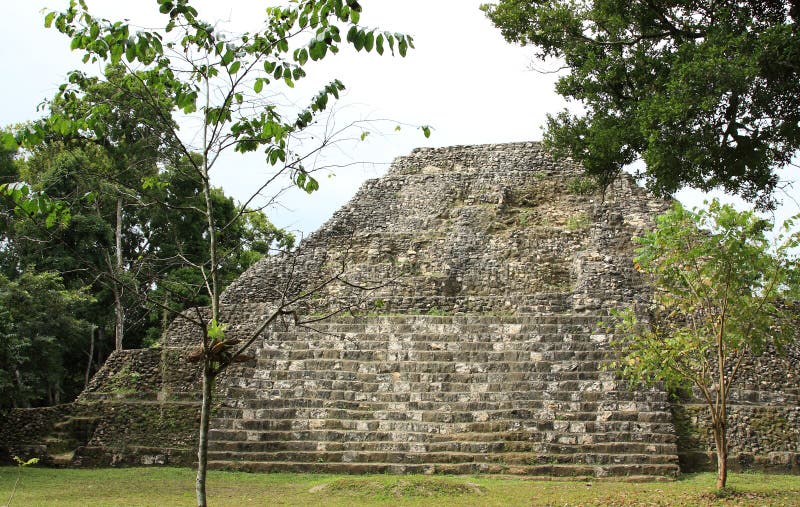 Ruines De Temple Maya Chez Yaxha, Guatemala Image stock - Image du ...