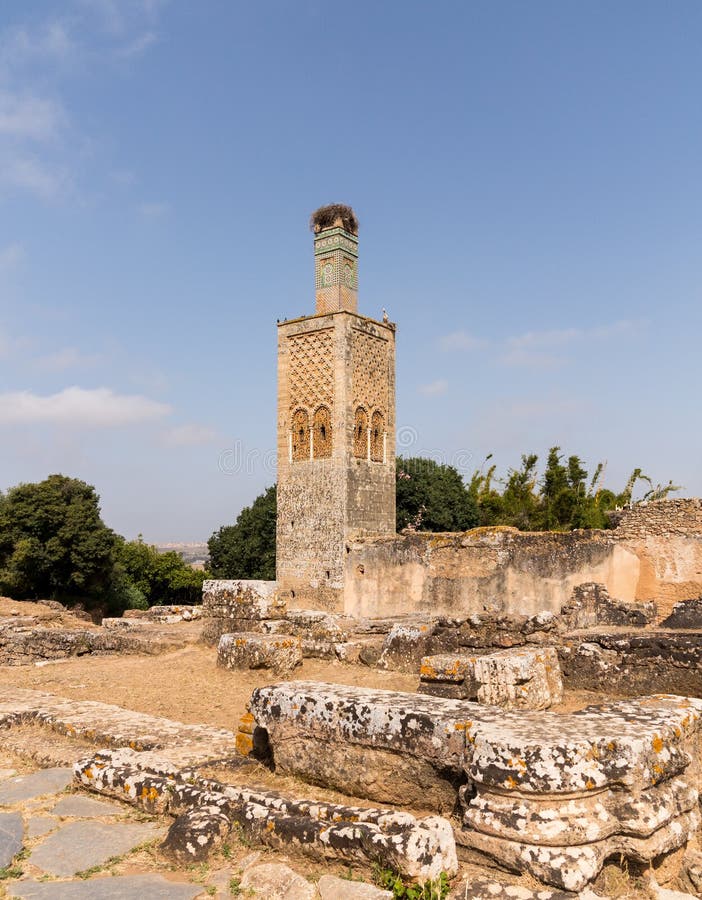 Ruines Romaines Chez Chellah Maroc Photo stock - Image du arabe, islam ...