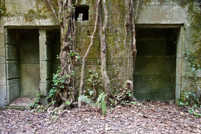 Ruinous house stock photo. Image of mysterious, nature - 27001354