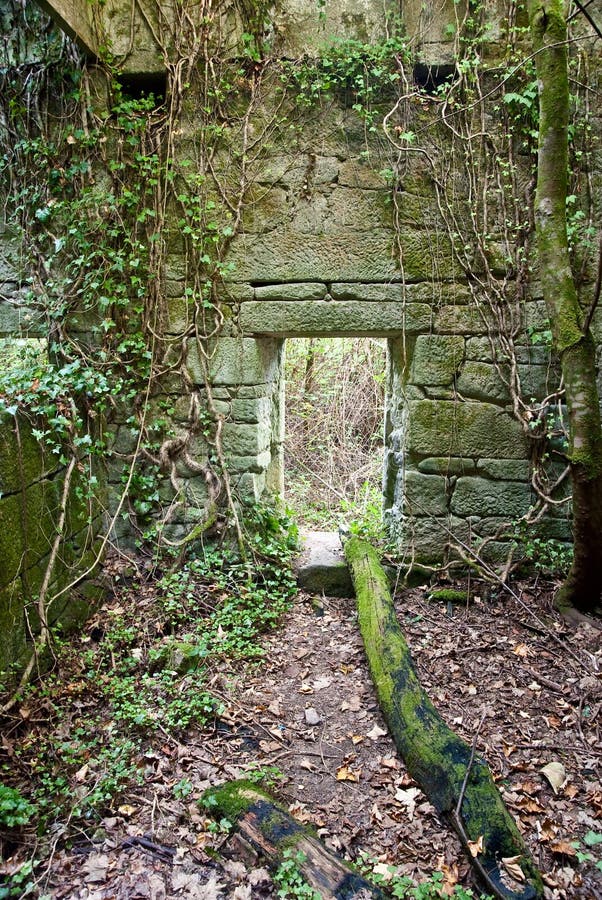 Ruinous house stock photo. Image of vegetation, crumbling - 27001426