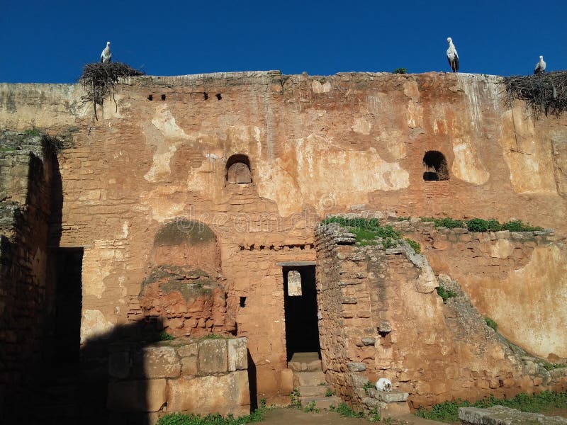 Rabat chellah stock image. Image of ancient, necropolis - 133684163